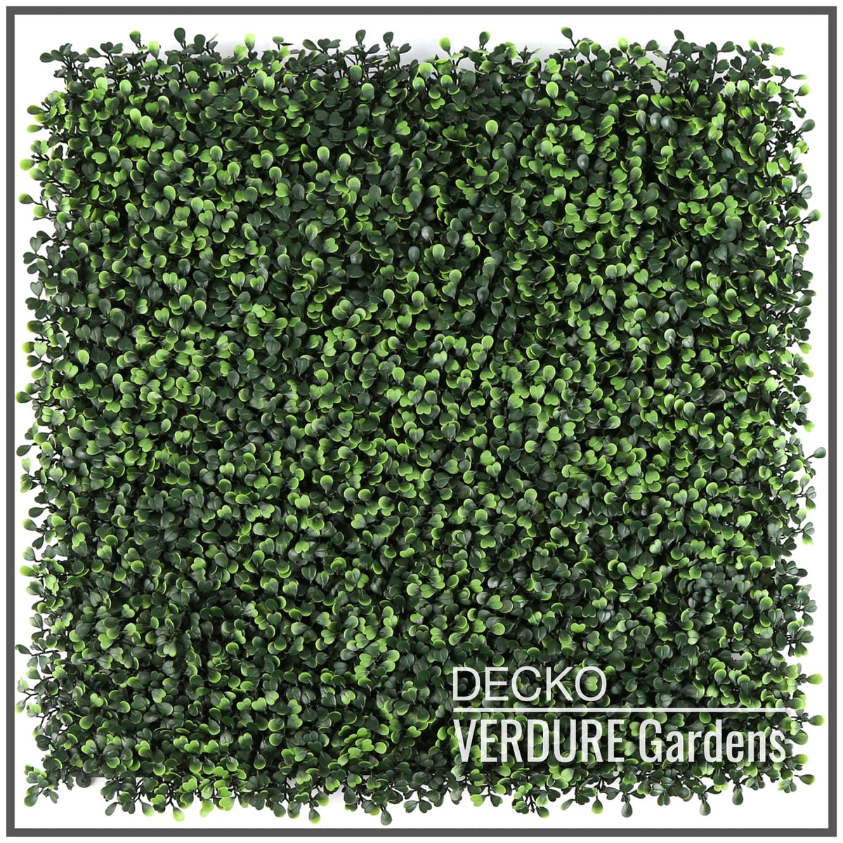 DECKO VERDURE Green Wall - EVERGREEN - 500mm x 500mm — DECKO Hungary